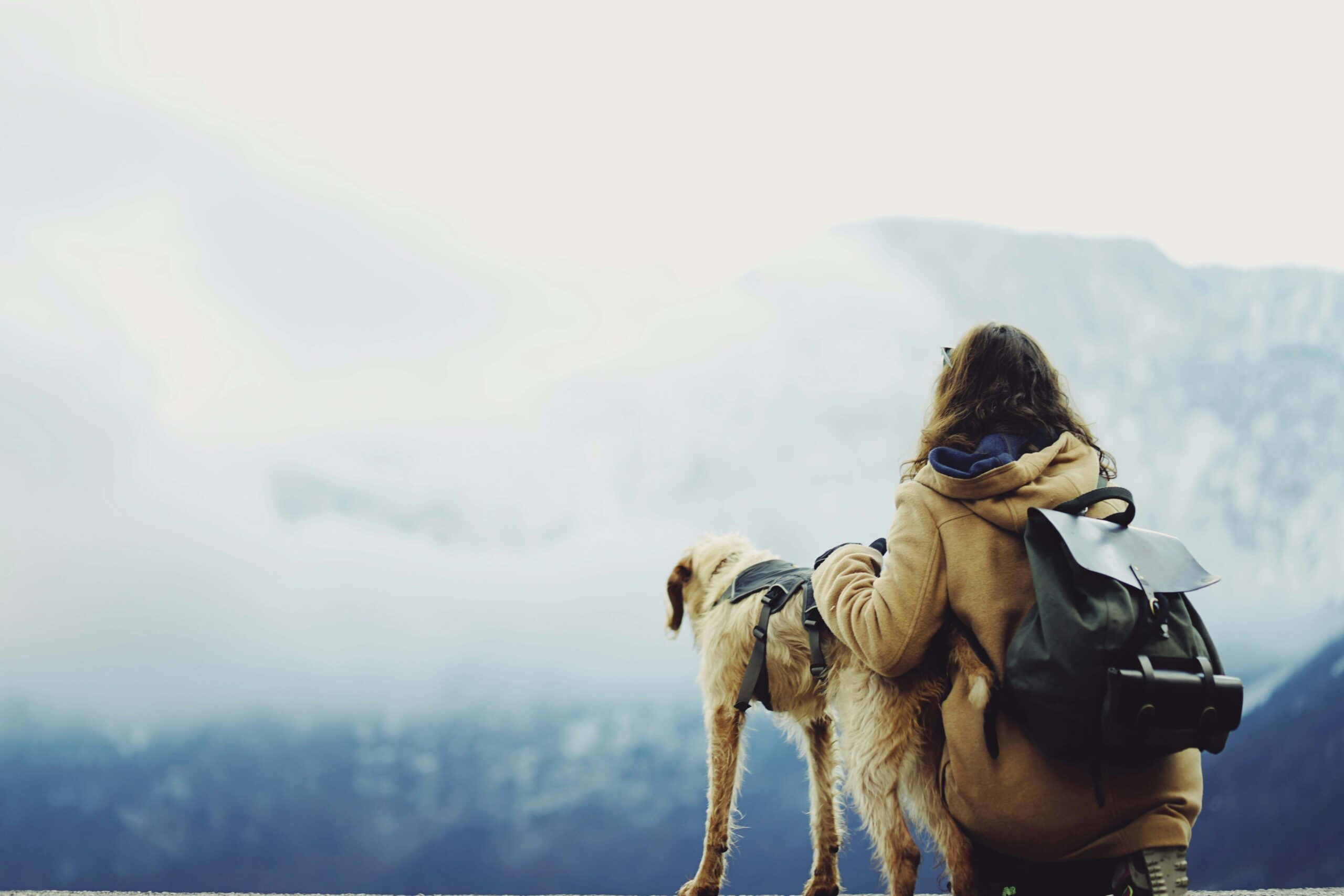 12 Pet-Friendly Climbing Gyms in the USA! (+1 Dog Gym!)
